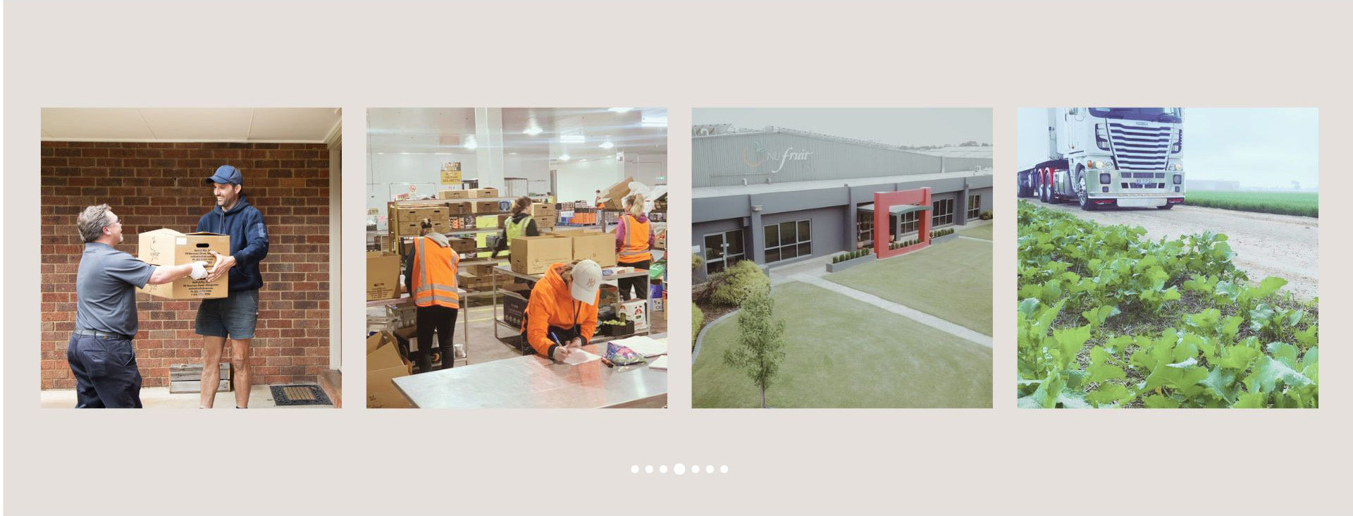 OUR STORY – NuFruit Online